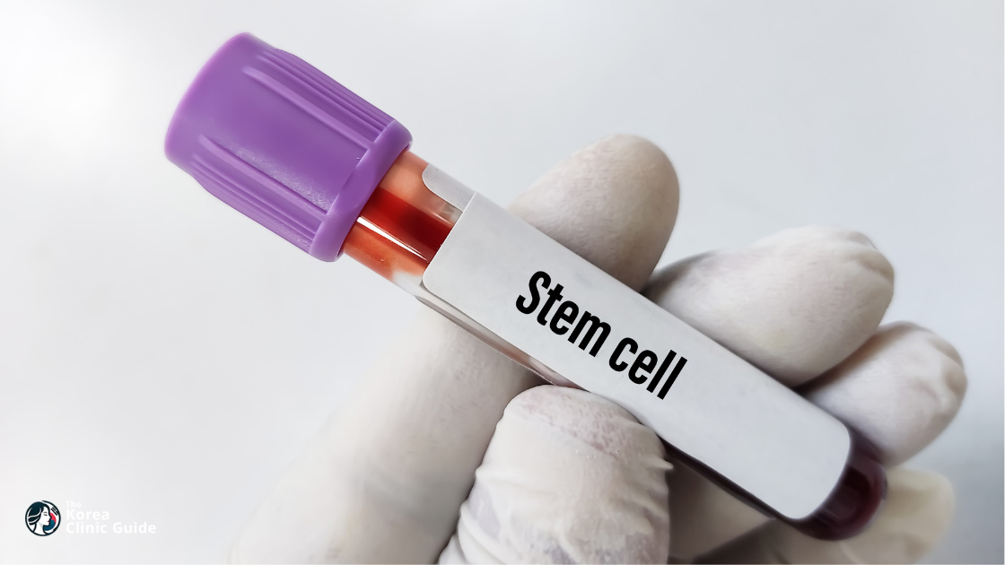 Stem Cell Fat Grafting in Korea | Best Clinics, Costs, Procedure Types ...