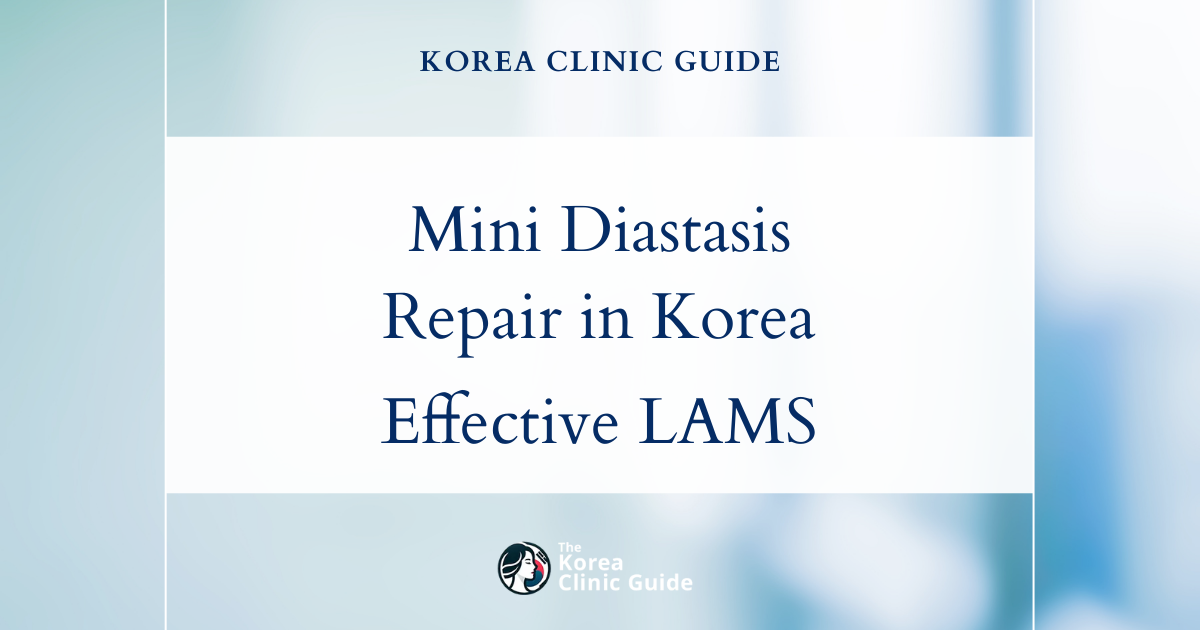 Mini Diastasis Repair in Korea: Effective LAMS Procedures for Abdominal ...